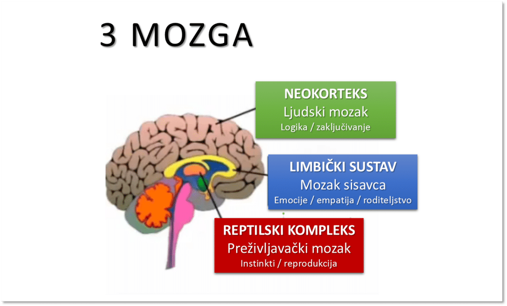 Sveto trojstvo - SWEATTHAT by Sanja Zuljevic